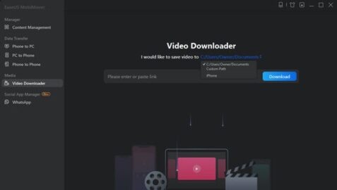 How to Download Embedded Videos Online In 2025