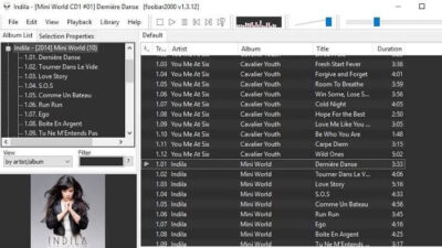 10 Best Music Players for Windows PC in 2025