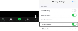 How to Fix “Zoom Share Screen Not Working”—10 Quick Solutions ...
