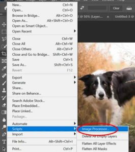 How to Make All Images The Same Size: 7 Ways