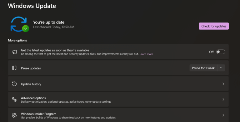 How to Fix Black Screen at Boot on Windows 11/10