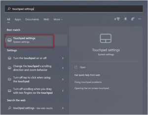 How To Fix Touchpad Cursor Disappears Windows 11 and 10