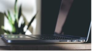 How To Fix Touchpad Cursor Disappears Windows 11 and 10