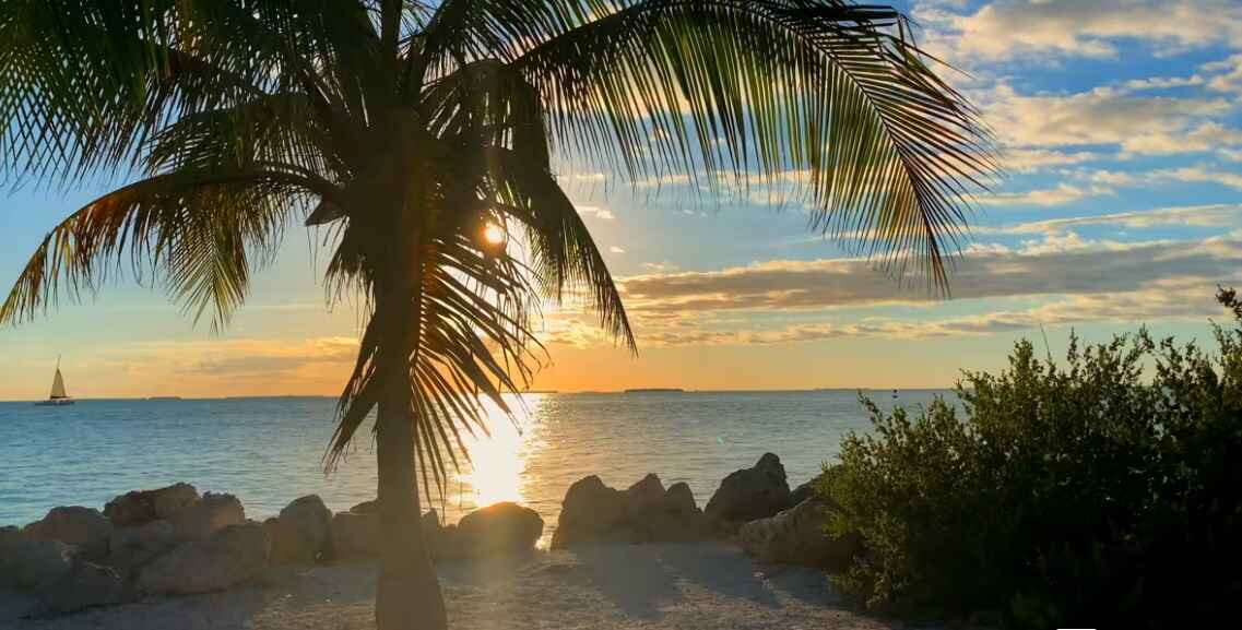 Top 25 Free Animated Desktop Backgrounds For Windows 10 & 11