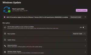 How To Handle Windows 11 Driver Updates Issues: Latest Guide